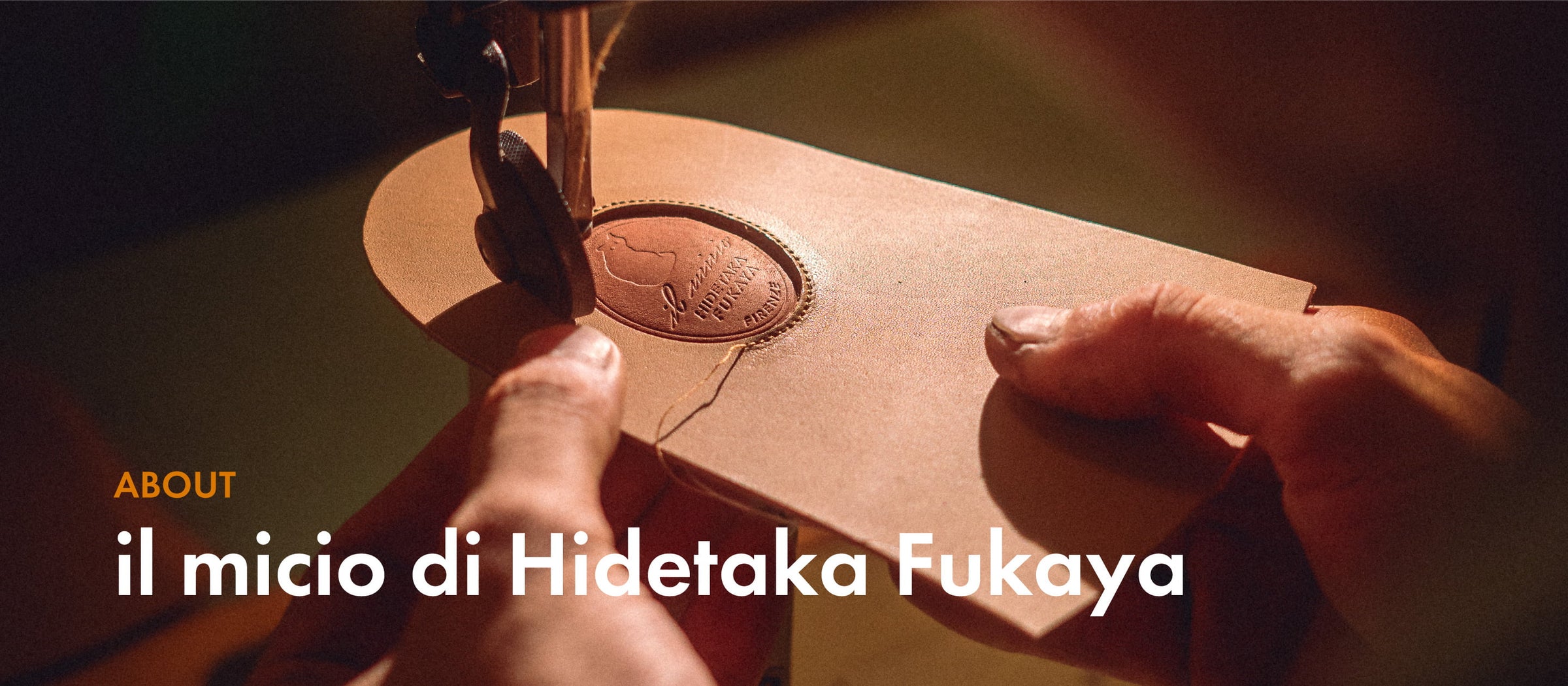 il micio di Hidetaka Fukaya｜イル・ミーチョ 公式サイト